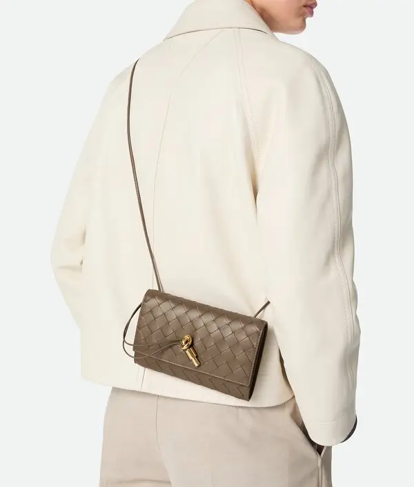 Bottega Veneta Andiamo Pouch On Strap - Pinecone