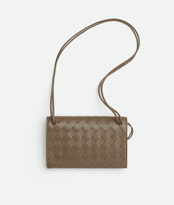 Bottega Veneta Andiamo Pouch On Strap - Pinecone