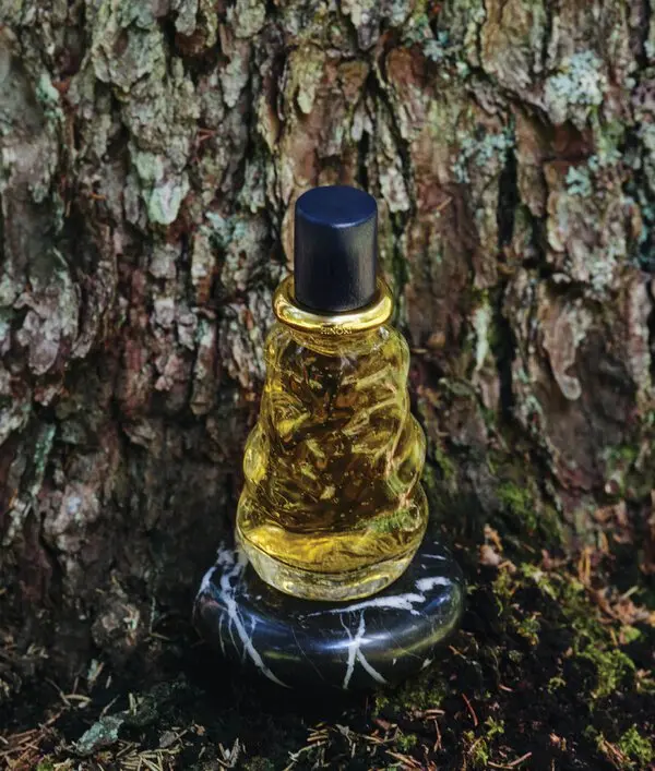 Bottega Veneta Hinoki