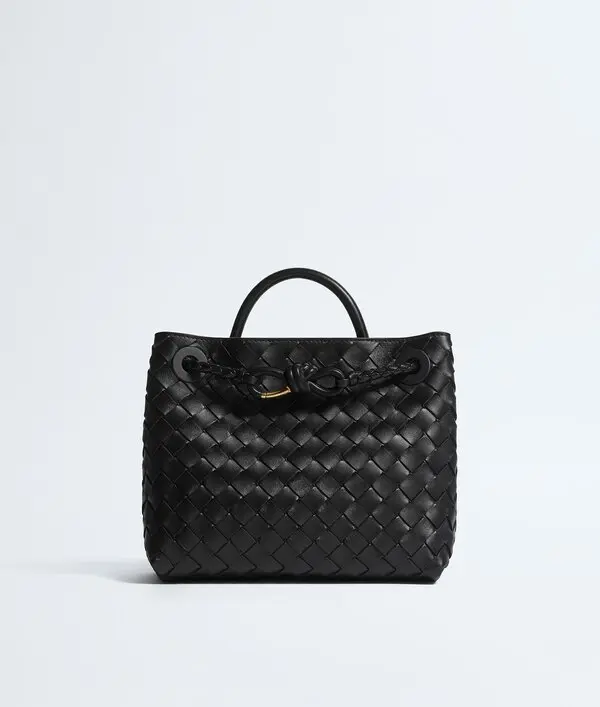 Bottega Veneta Small Andiamo Bag - Black