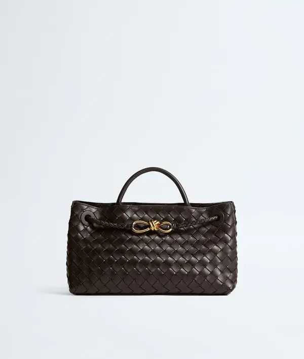 Bottega Veneta East-west Andiamo Top Handle Bag - Fondant