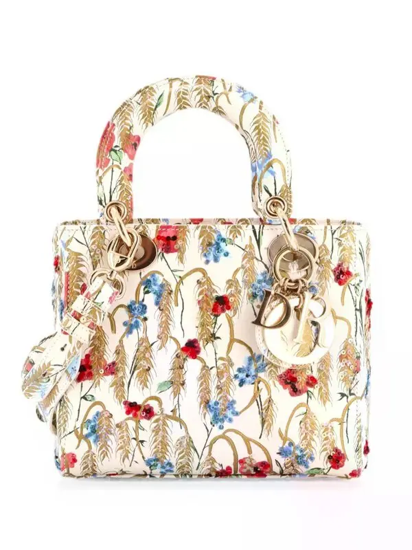 Dior My Abcdior Lady Bag Embroidered Printed Leather Satchel - Multicolour