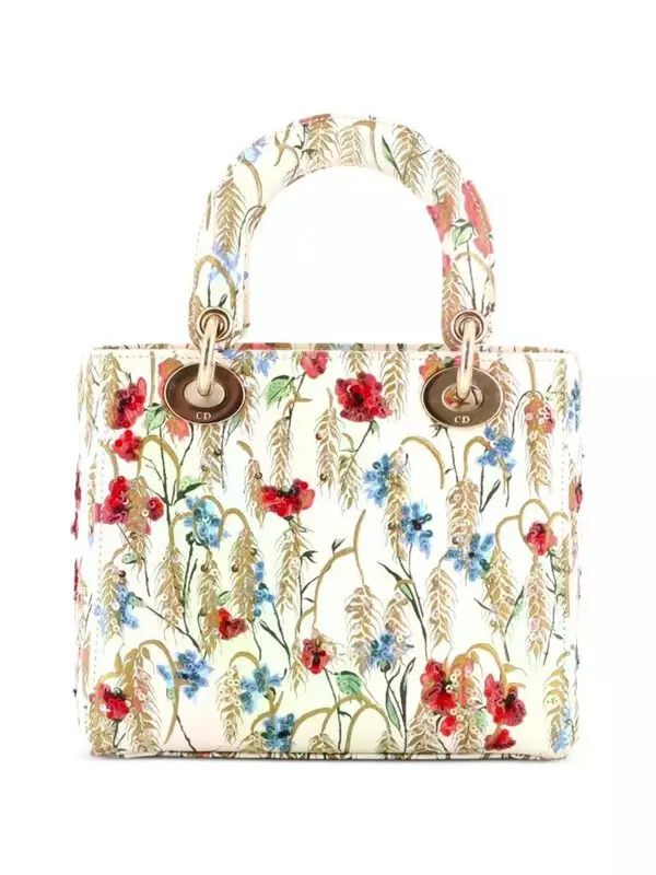 Dior My Abcdior Lady Bag Embroidered Printed Leather Satchel - Multicolour