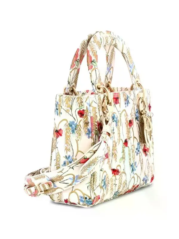 Dior My Abcdior Lady Bag Embroidered Printed Leather Satchel - Multicolour