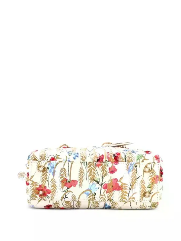 Dior My Abcdior Lady Bag Embroidered Printed Leather Satchel - Multicolour
