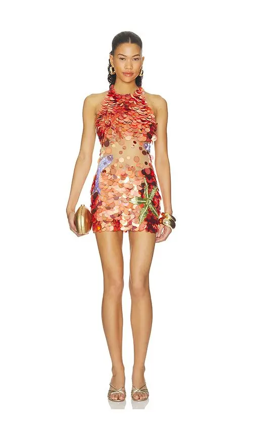 Retrofete Dorothy Embroidered Dress In . Also