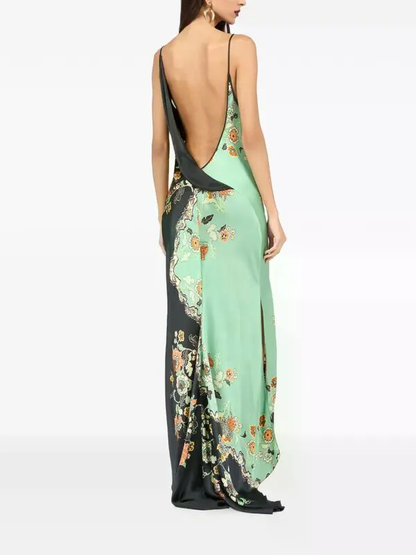Roberto Cavalli Floral-print Backless Maxi Dress