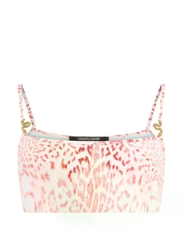 Roberto Cavalli Leopard-print Cropped Top