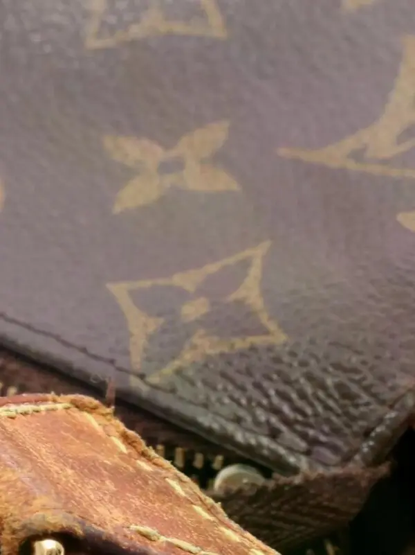 LOUIS VUITTON Monogram Canvas Eva Handbag