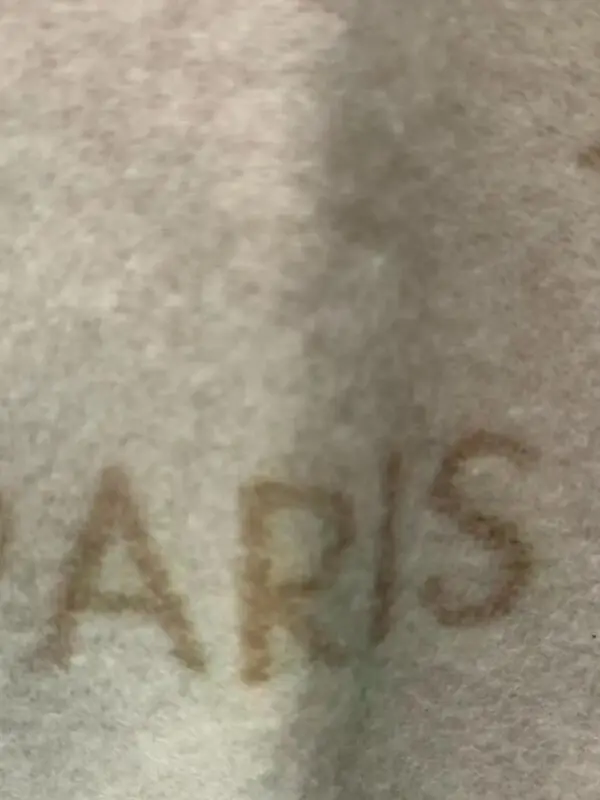 LOUIS VUITTON Reykjavik Fringed Scarf