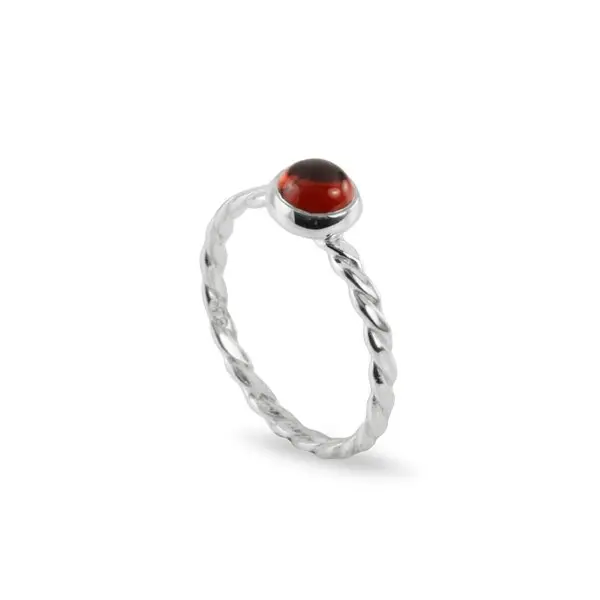 THE JEWELLERY STORE LONDON Silver / Red January Birthstone Ring In Sterling Silver- Garnet - Silver/red