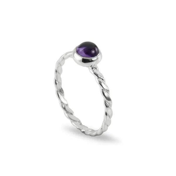 THE JEWELLERY STORE LONDON February Birthstone Ring In Sterling Amethyst - Silver