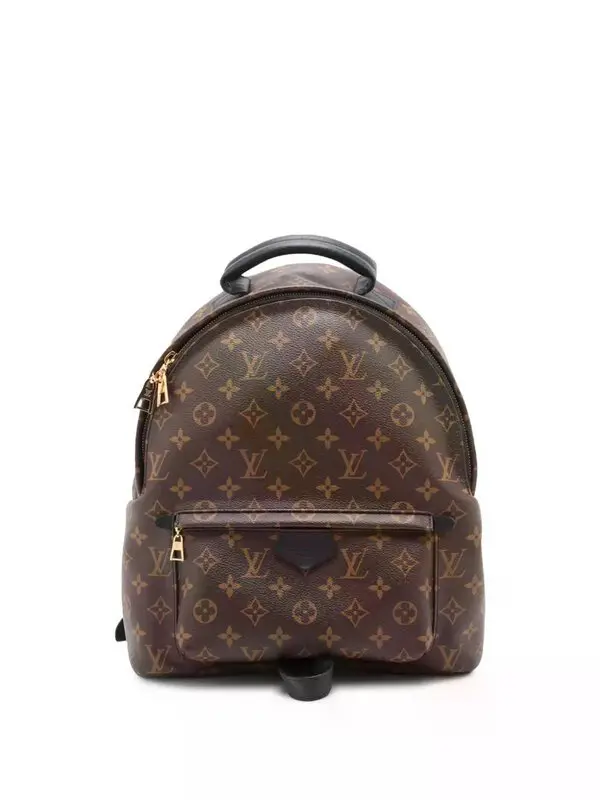 LOUIS VUITTON 2019 Monogram Palm Springs Mm Backpack - Brown