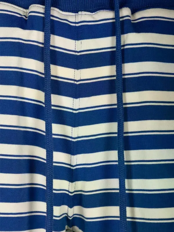 Denimist Striped Shorts - Blue