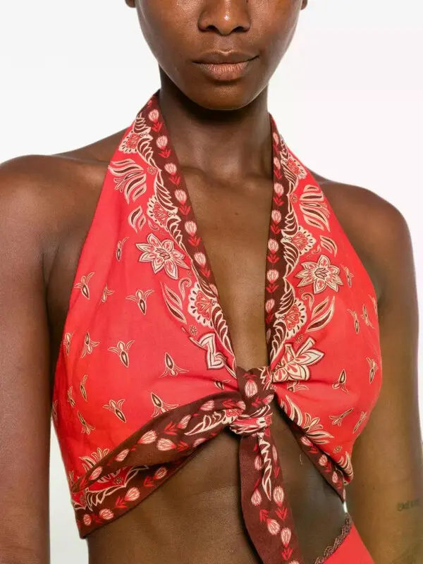 Farm Rio Ainika Floral-print Halterneck Cropped Blouse