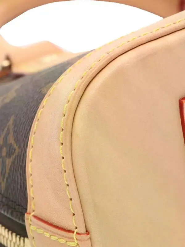 LOUIS VUITTON Monogram Zebra Alma Bb Satchel