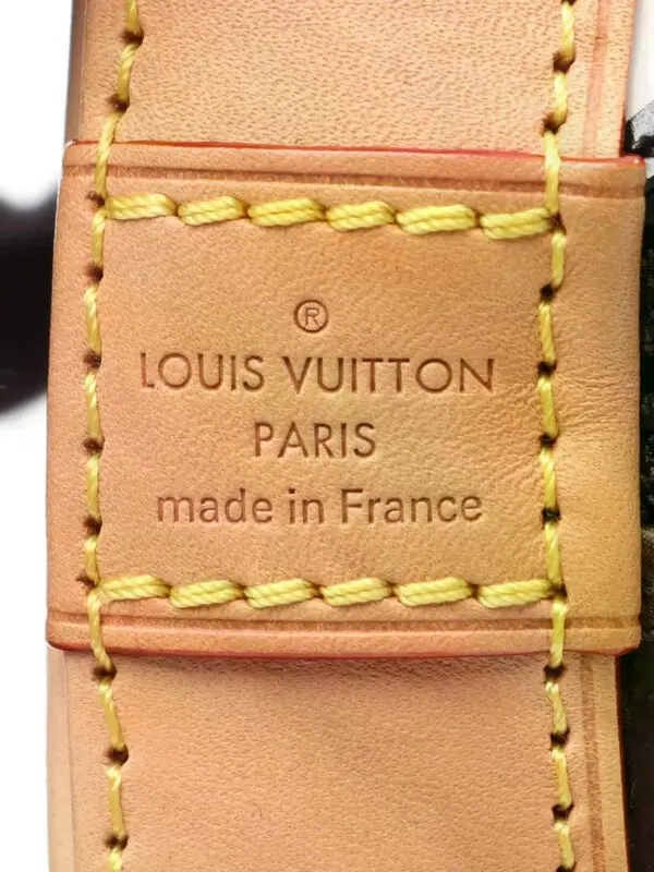 LOUIS VUITTON Monogram Zebra Alma Bb Satchel