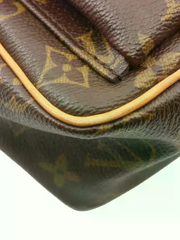 LOUIS VUITTON Monogram Viva Cite Pm Crossbody Bag