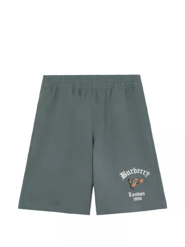 Burberry Check-flag Cotton Shorts - Blue