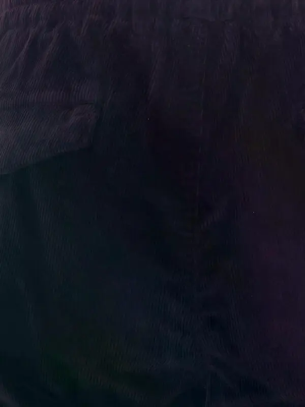 Eleventy Pleated Corduroy Trousers