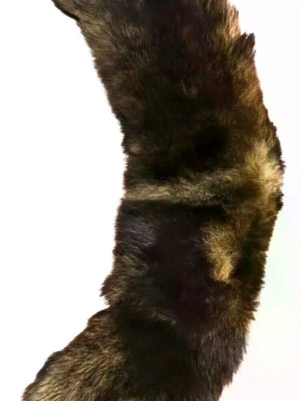 EMERSON RENALDI Liv Shearling Collar
