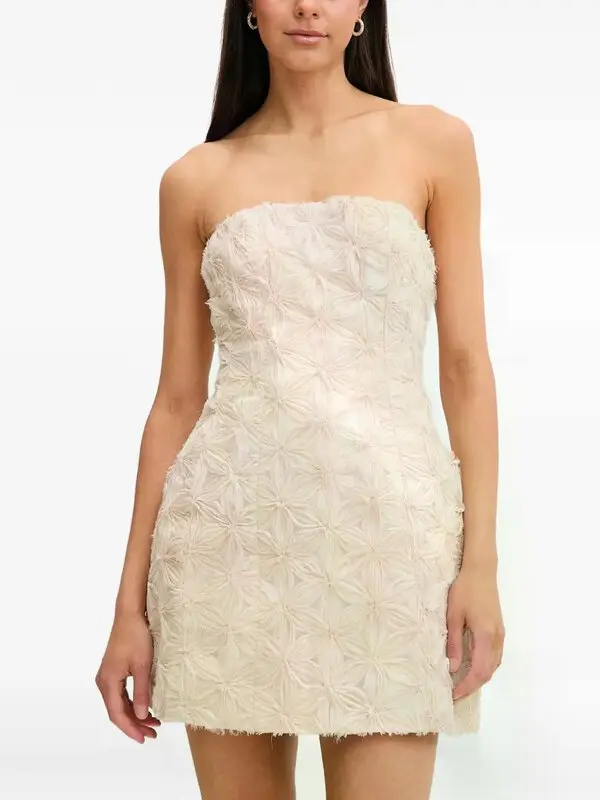 Bardot Karoline Strapless 3d-floral Mini Dress - Neutrals
