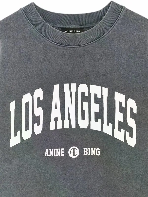 ANINE BING Los Angeles University Washed Sweatshirt