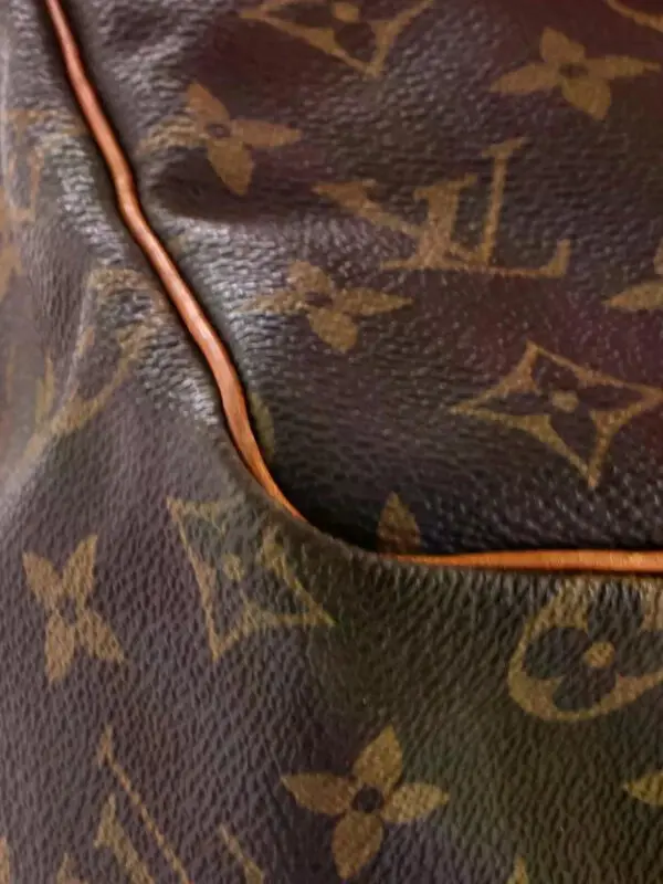 LOUIS VUITTON Speedy Monogram Canvas 25 Satchel