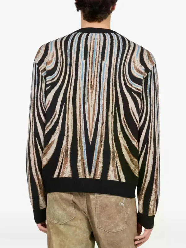 Roberto Cavalli Tiger-print Sweater
