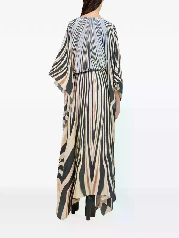 Roberto Cavalli Zebra-print V-neck Maxi Dress