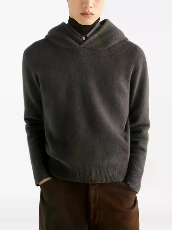 LEMAIRE Hooded Sweater In Cashmere