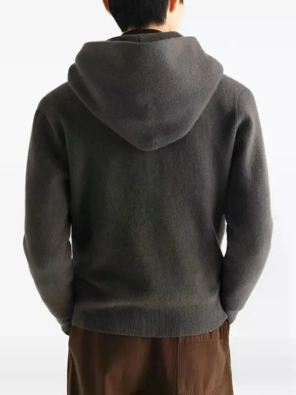 LEMAIRE Hooded Sweater In Cashmere