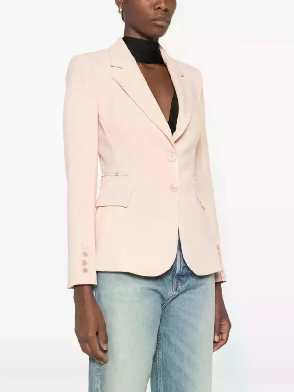 Elisabetta Franchi Peak-lapel Single-breasted Blazer