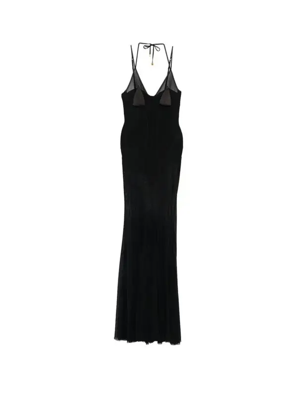Elisabetta Franchi Sheer-panelled Pleated Maxi Dress