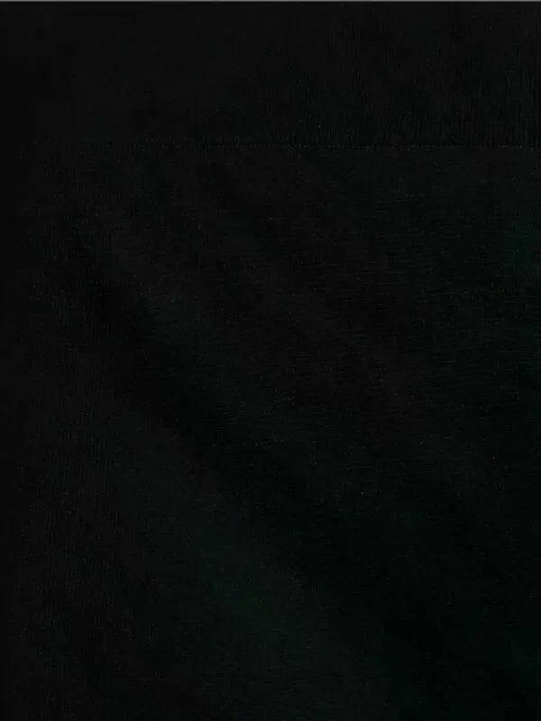 Max Mara A-line Midi Skirt
