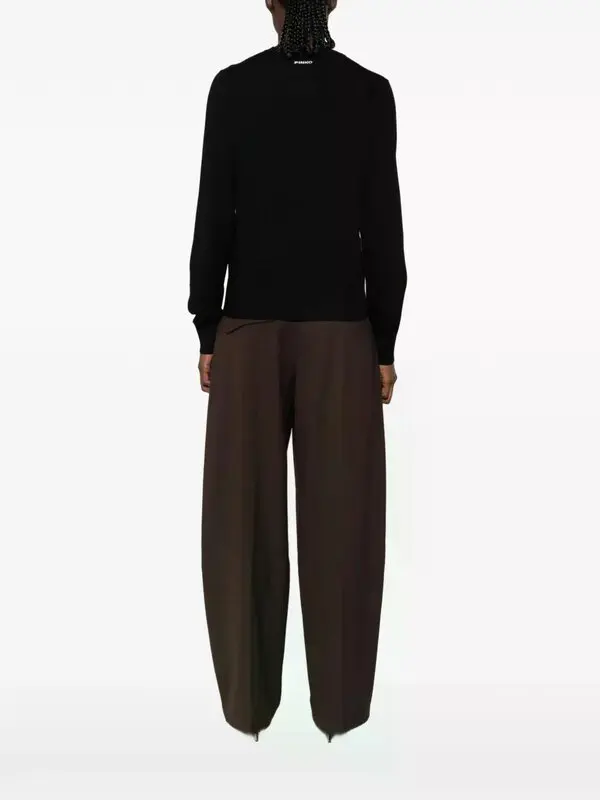 Pinko Lourdes Crew-neck Sweater