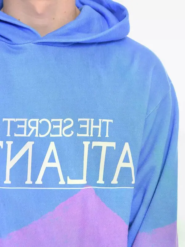 MSFTS Logo Print Hoodie