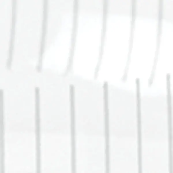 VILLEROY & BOCH Crystal Afina Champagne Coupes