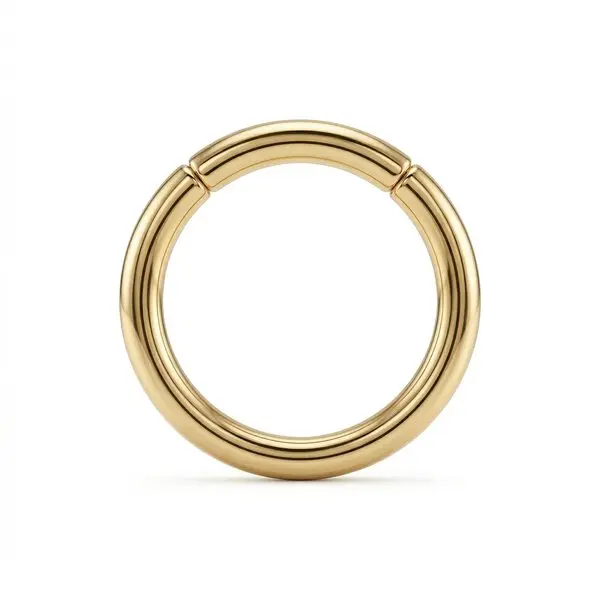 Zahav Jewelry 14k Solid Captive Segt Clicker Hoop - Gold