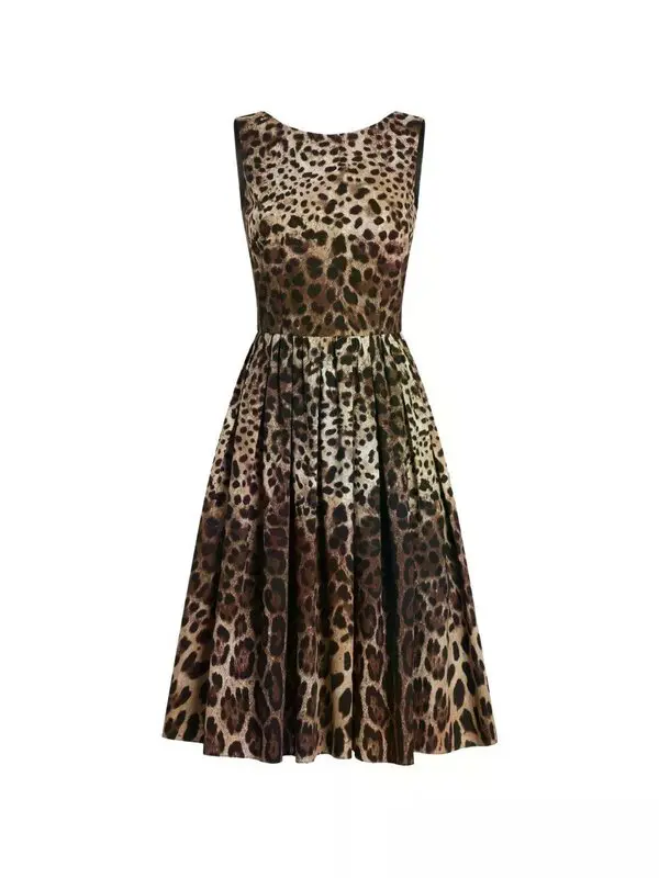Dolce & Gabbana Leo-print Cotton Poplin Dress