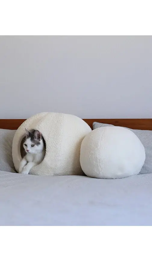 CATENARY HOME Moon Pet Cave