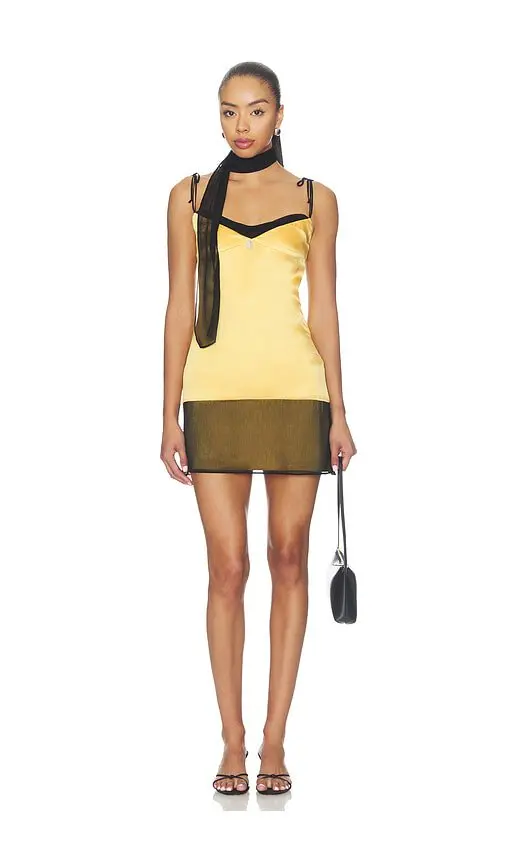BUCI Chinchilla Mini Dress In . Also - Yellow