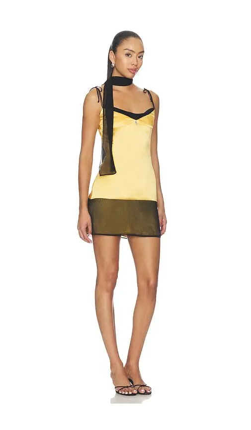 BUCI Chinchilla Mini Dress