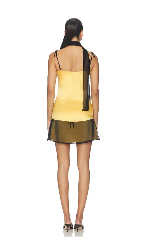 BUCI Chinchilla Mini Dress