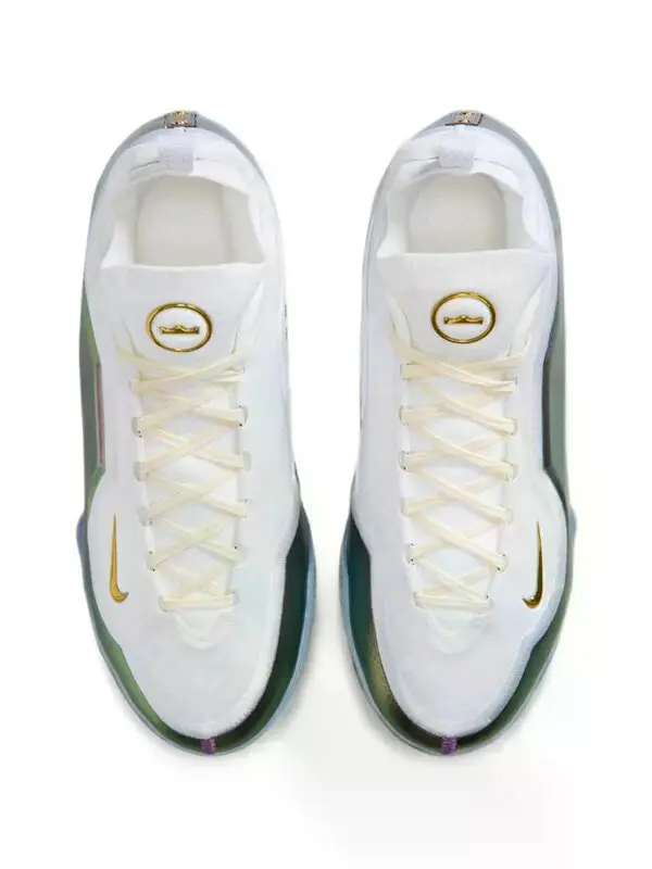 Nike Lebron Xxiii Elite For The Record Sneakers