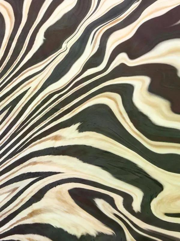 Roberto Cavalli Marble-print Scarf