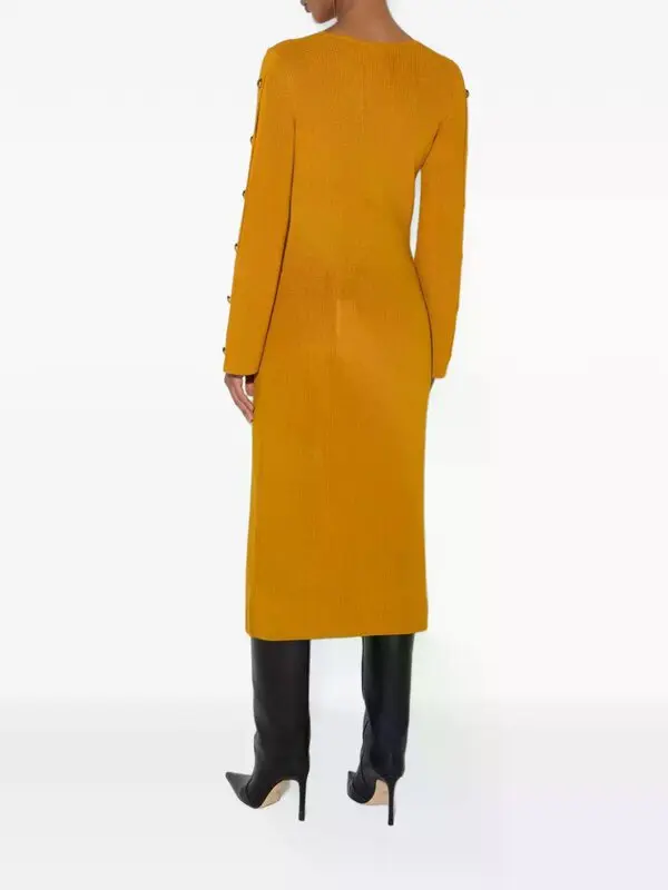 Elisabetta Franchi Knit Dress With Jewel Buttons