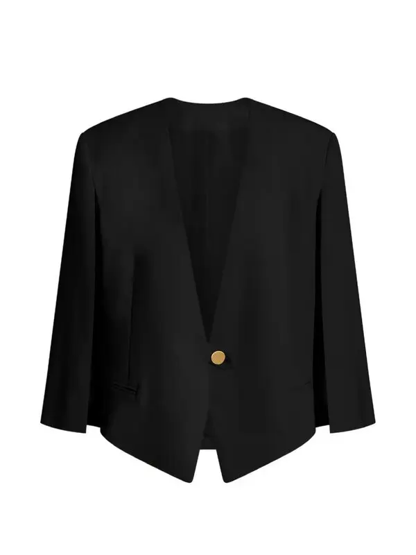 Alberta Ferretti Button Jacket