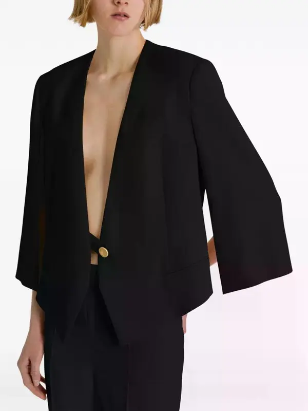 Alberta Ferretti Button Jacket