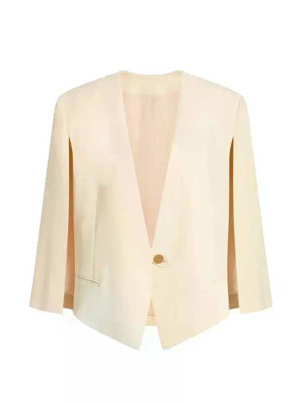 Alberta Ferretti V-neck Single-breasted Blazer